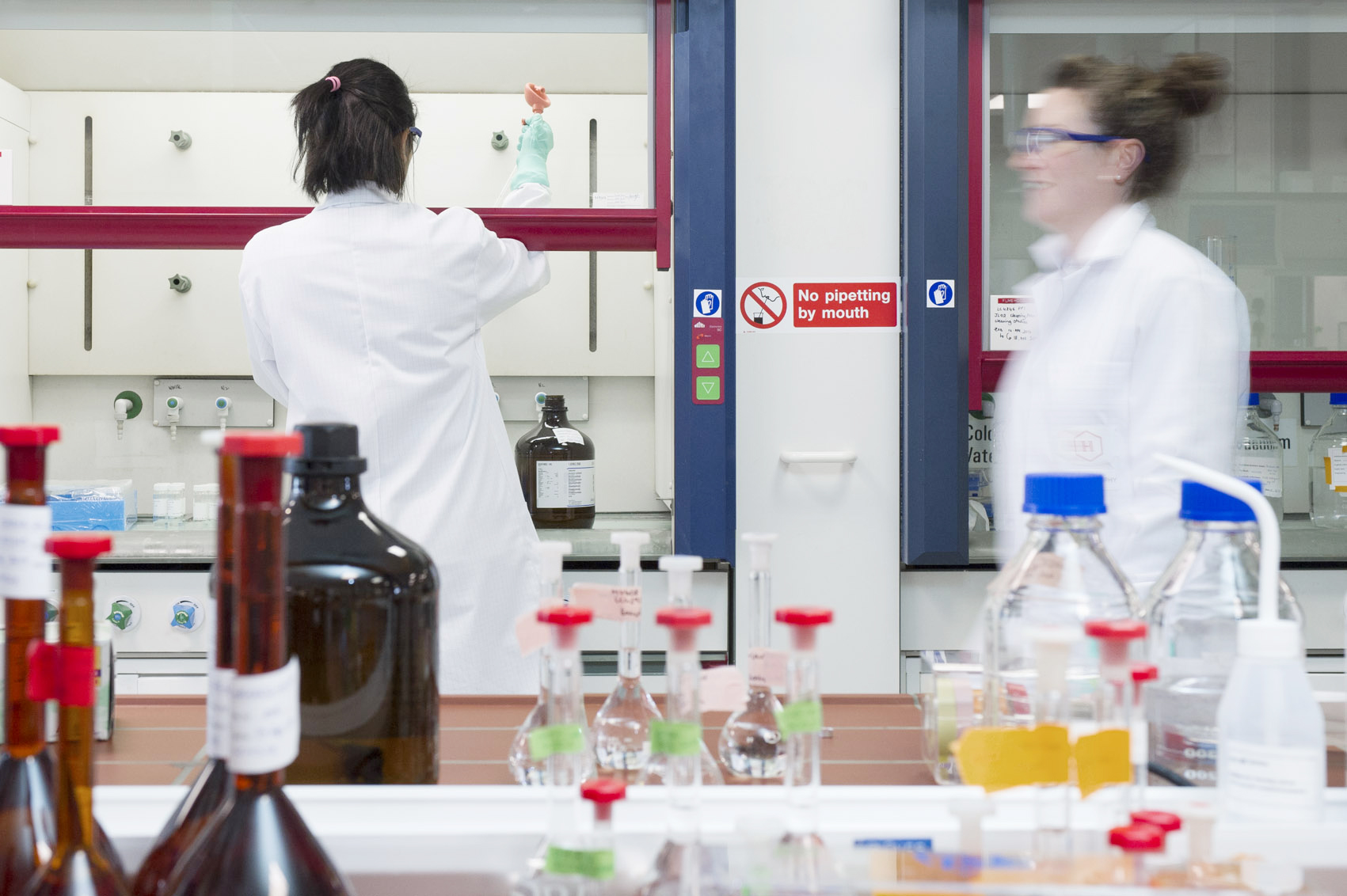 Drug Substance Development | Hovione